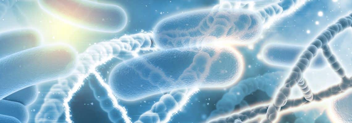 O que é a flora bacteriana? - Unicallmed Worldwide