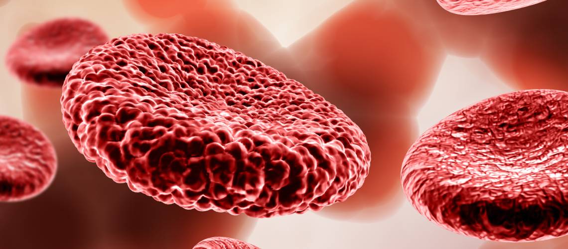 Hipocromia: o que é, quais os sintomas e causas? - Unicallmed Worldwide